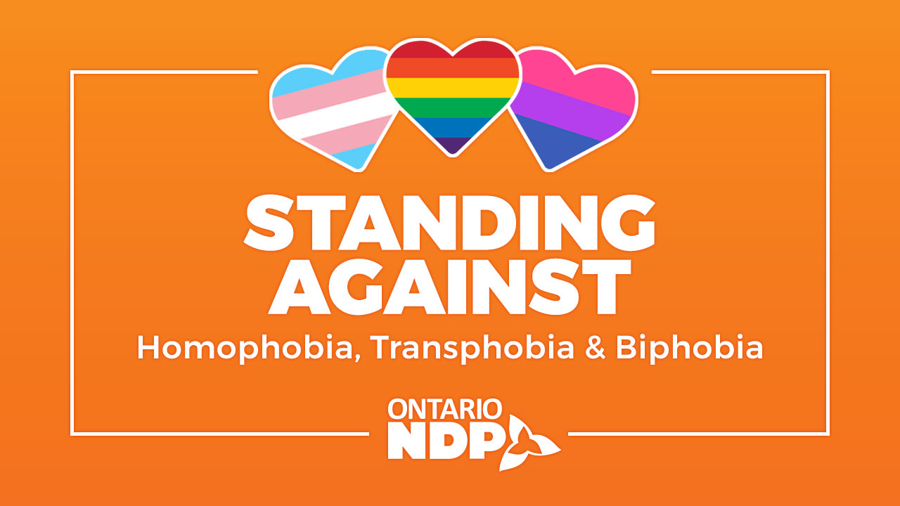 New Democrats mark the International Day Against Homophobia ...