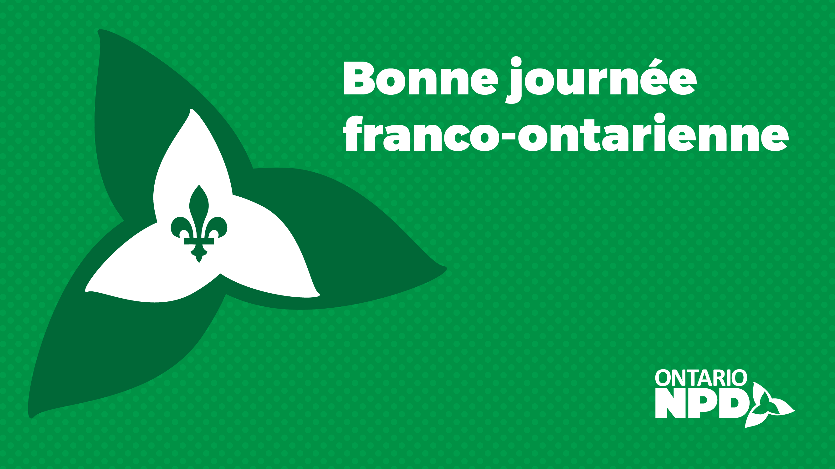 Statement from Ontario NDP Francophone Affairs critic Guy Bourgouin on ...