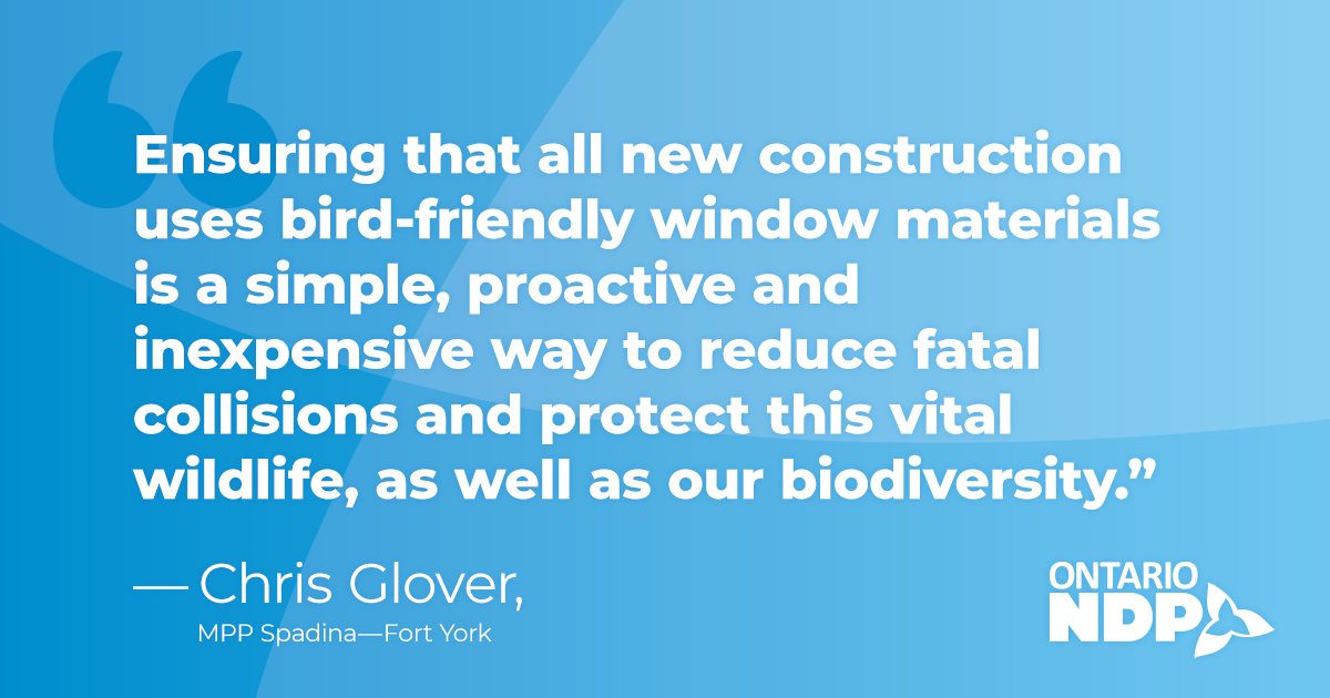 MPP urges Ford to mandate bird-friendly design in windows of new ...