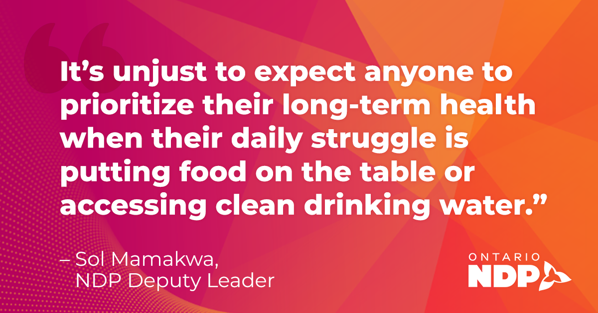 NDP MPP Mamakwa tables landmark motion to recognize Indigeneity and ...
